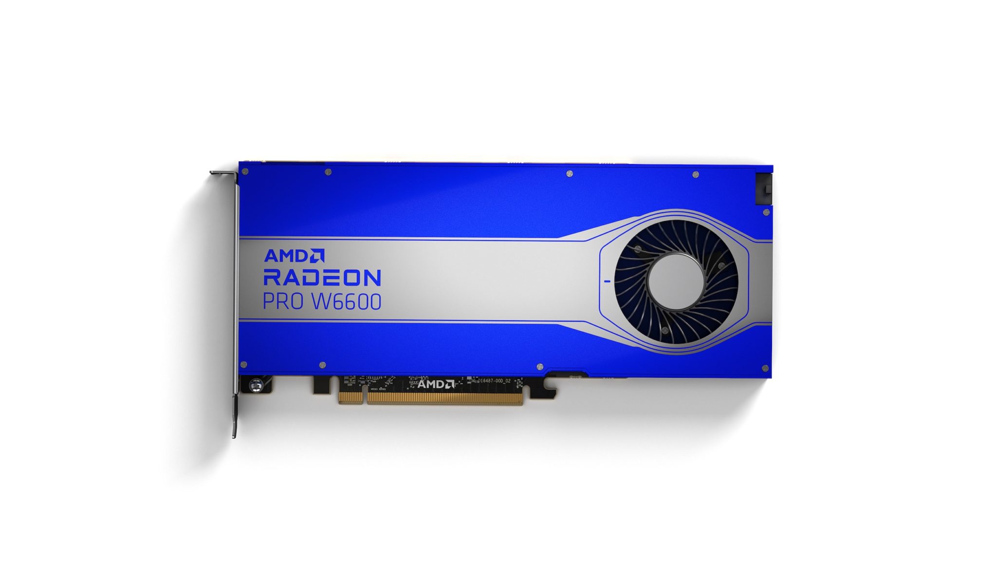 AMD Radeon PRO W6600 Workstation GPU Now Available - Architosh